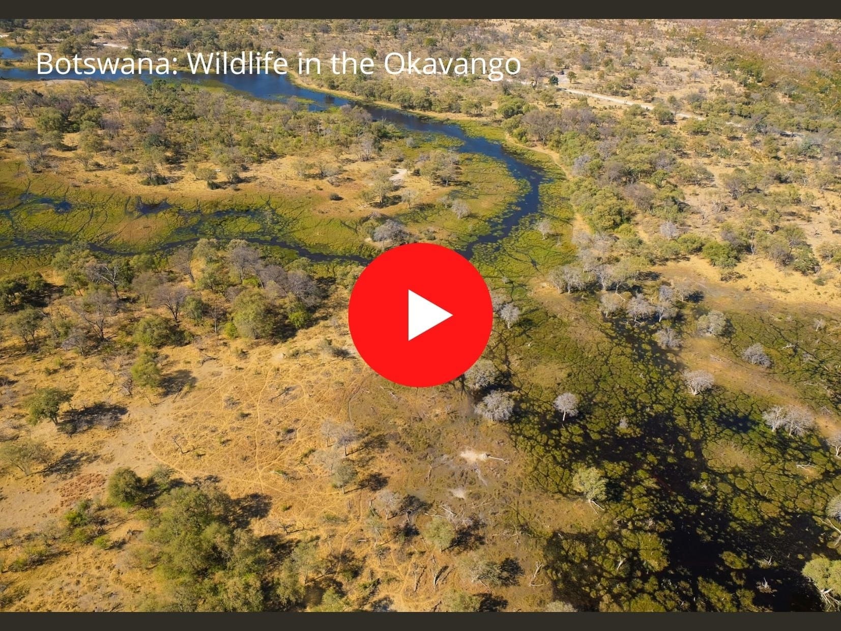 Wildlife reis Botswana | Safari door Okavango Delta | All for Nature ...