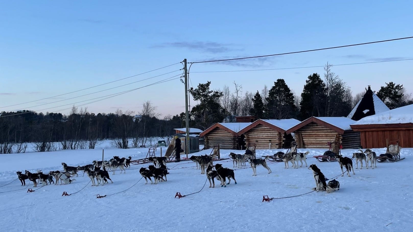 Fotoblog- Onze wildlifespotter ontdekt de toendra in Noorwegen | All ...